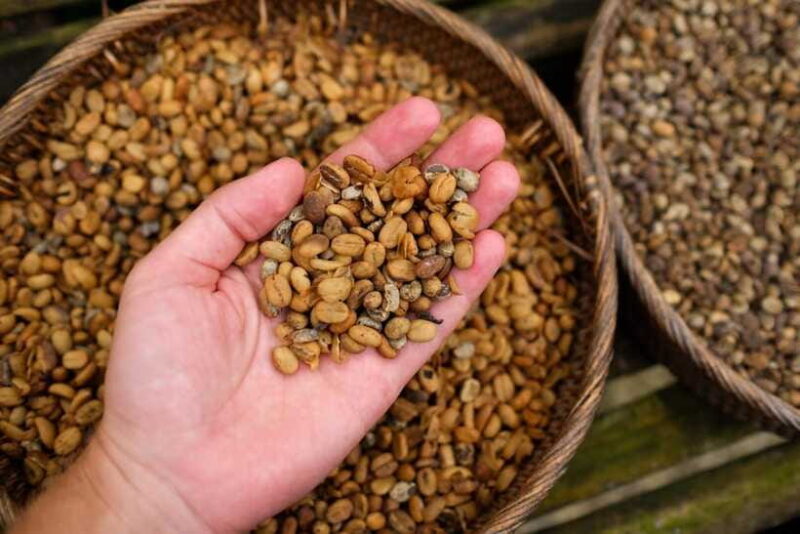 Bali: Ubud Day Trip With Barong Dance - Final Thoughts