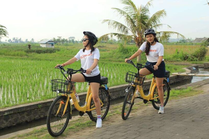Bali: Ubud E-bike Cycling Tour with Lunch - Key Points