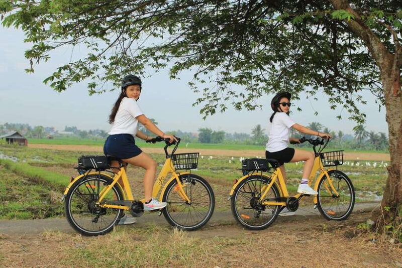 Bali: Ubud E-bike Cycling Tour with Lunch - Who Will Love This Experience?