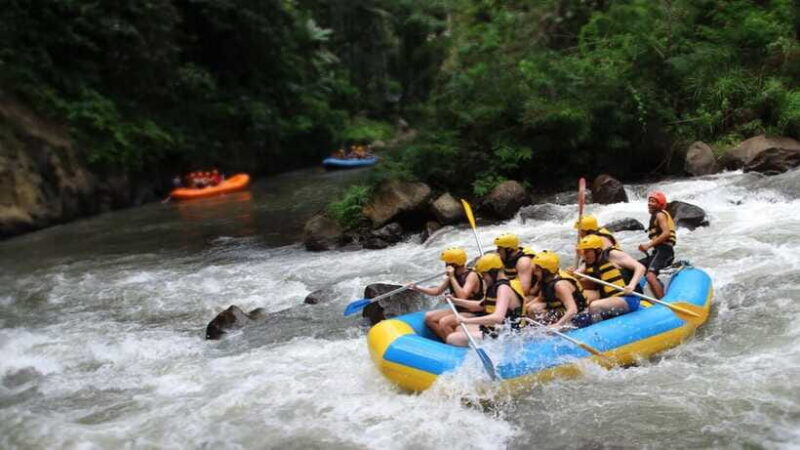 Bali-Ubud fun ATV Quad Bike Adventure & River Rafting - Who Will Love This Tour?