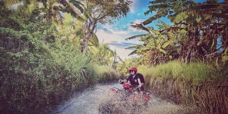 Bali: Ubud Gorilla Cave Track ATV & Waterfall Tour with Meal - What to Expect on the Ubud ATV & Waterfall Tour