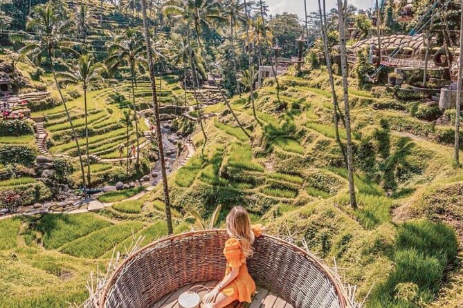 Bali: Ubud Highlights Tour with Private Guide and Transfers - Who Should Take This Tour?