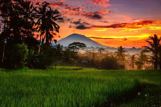 Bali Ubud Hotel Transfer with an English-speaking driver service - What Makes This Transfer Stand Out?