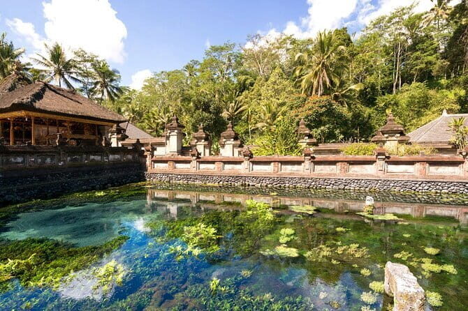Bali Ubud Jungle Swing: Monkey Forest and Waterfall Private Tour - A Closer Look at the Tour Experience