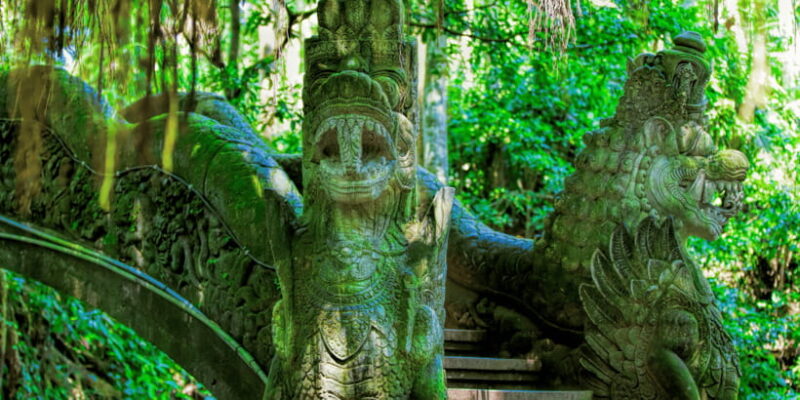 Bali: Ubud Monkey Forest Private Tour, Luxury Car - Key Points