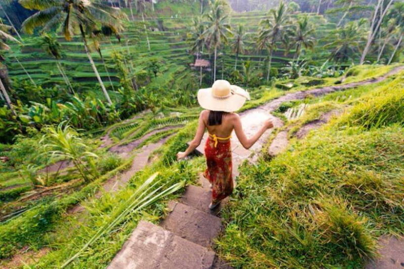 Bali: Ubud Monkey Forest, Waterfall, and Rice Terrace Tour - Key Points