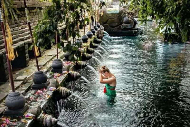 Bali: Ubud Monkey Forest, Waterfall, and Rice Terrace Tour - Who Will Love This Tour?