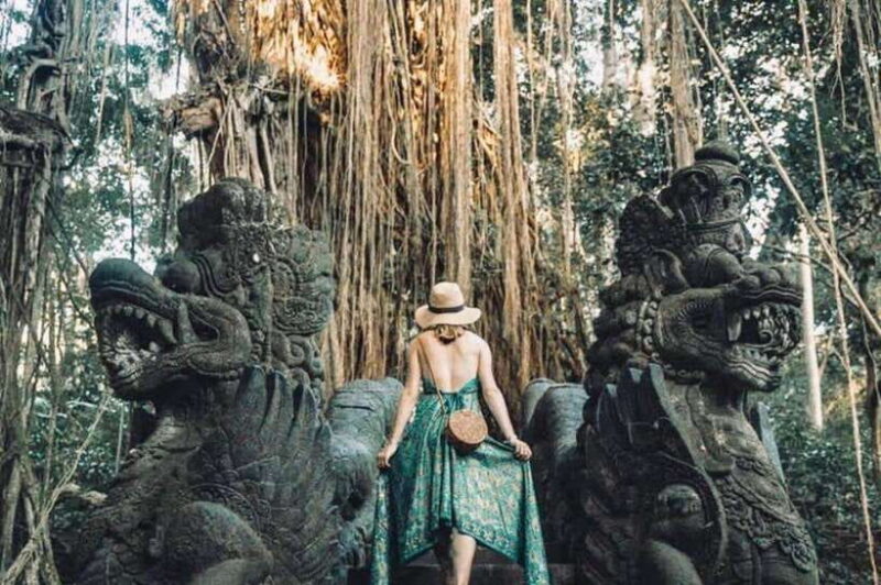 Bali: Ubud Monkey Forest, Waterfall, and Rice Terrace Tour - Final Thoughts