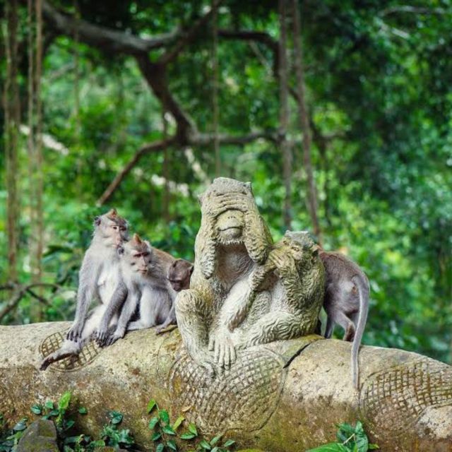 Bali ubud : monkey forest, waterfall , temple - Authenticity and Practical Tips