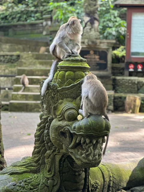 Bali ubud : monkey forest, waterfall , temple - Final Thoughts: Who Is This Tour Best For?