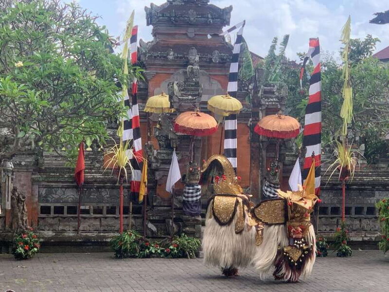 Bali Ubud : Private Full/ Half Day Tour, Optional Activities - What to Expect from the Itinerary