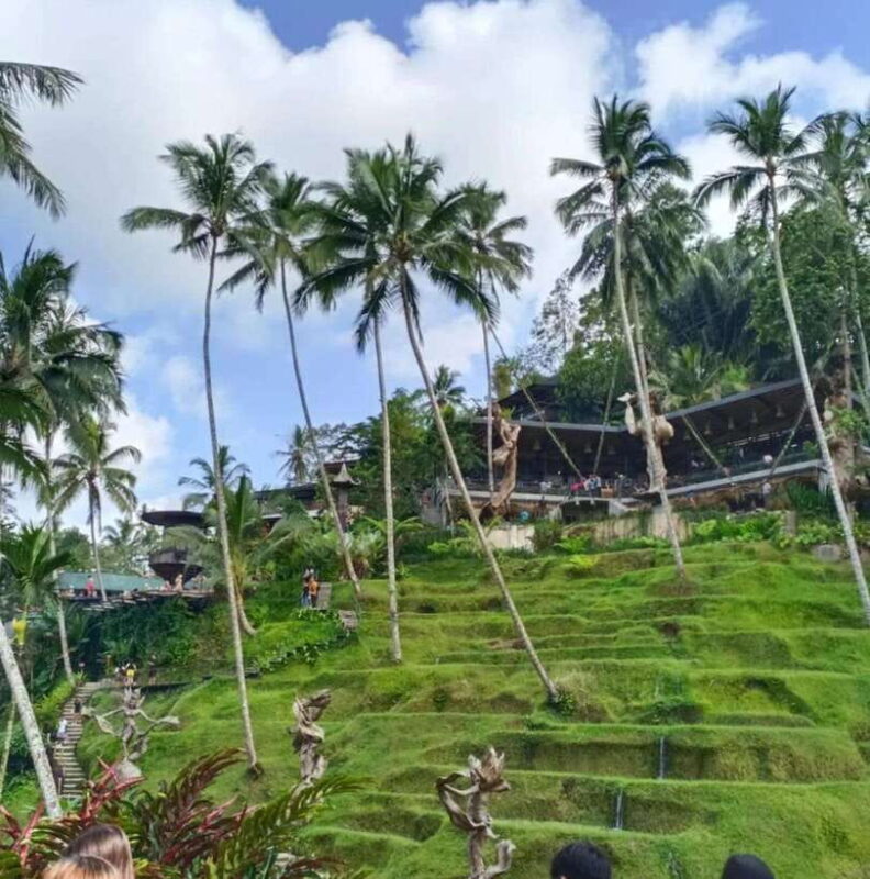 Bali Ubud : Private Full/ Half Day Tour, Optional Activities - What’s Included and What to Budget For
