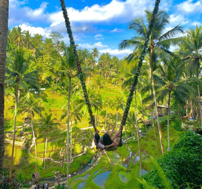 Bali Ubud : Private Full/ Half Day Tour, Optional Activities - Practical Tips for Travelers