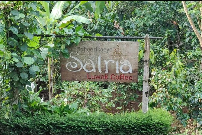 Bali Ubud private Tour with Ubud Bali Driver - FREE WIFI - FAQ Section