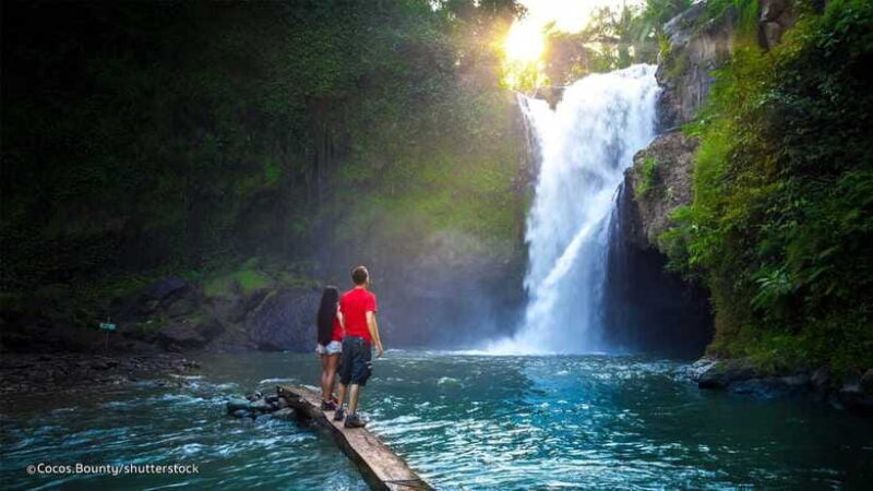 Bali: Ubud Private Tour with Waterfall - Forest - Rice field - Sacred Monkey Forest Sanctuary: Playful Encounters