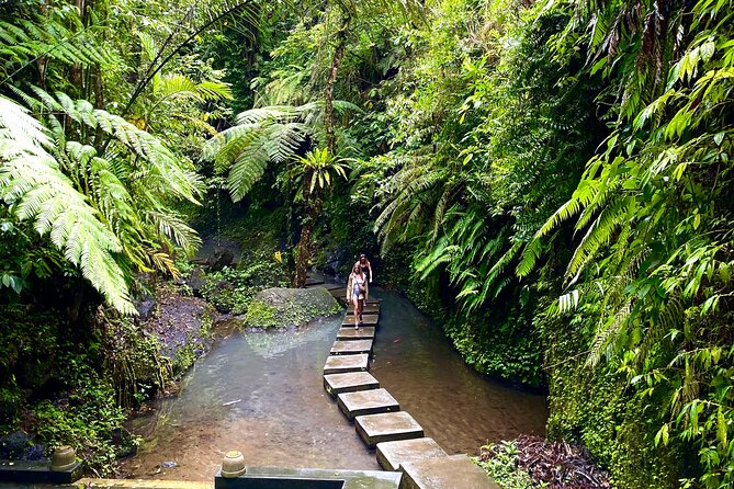 Bali : Ubud Private Tours - Tirta Empul Temple: A Sacred Ritual