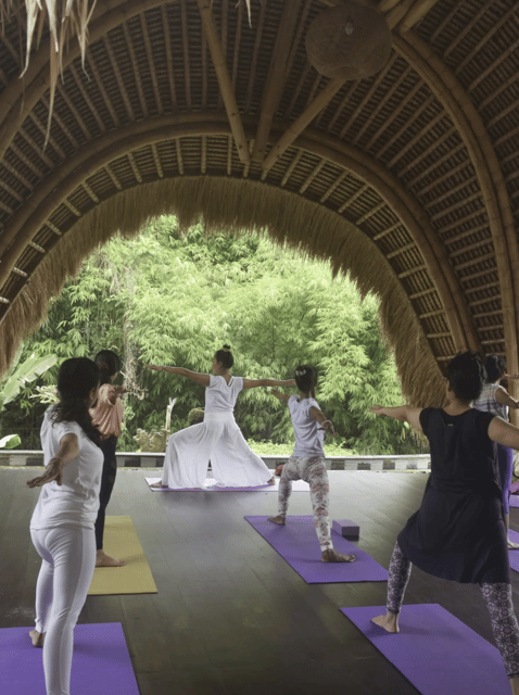 Bali: Ubud Private Yoga and Healing Meditation - A Closer Look at the Experience