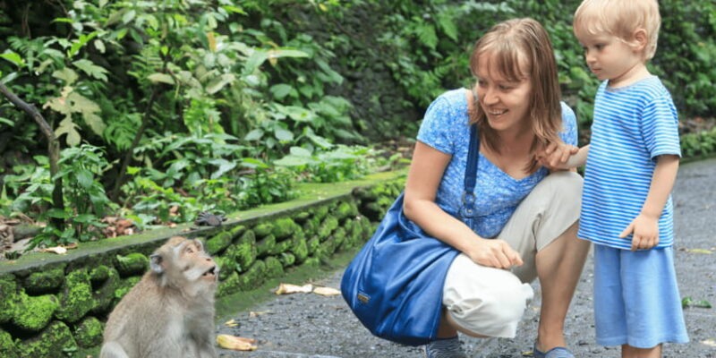 Bali: Ubud Rice Terraces, Monkey Forest & Waterfall Tour - Key Points