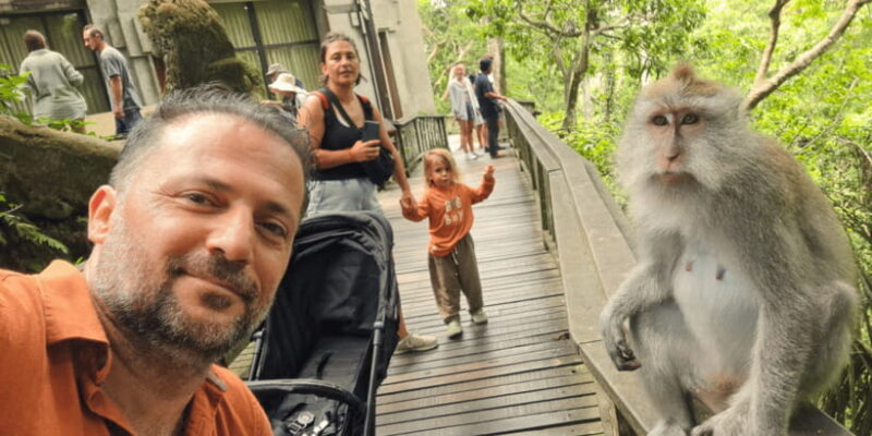 Bali: Ubud Rice Terraces, Monkey Forest & Waterfall Tour - The Practicalities — What You Need to Know