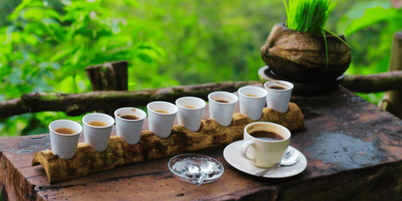 Bali: Ubud Rice Terraces, Monkey Forest & Waterfall Tour - Who Would Love This Tour?