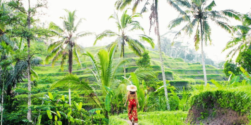 Bali: Ubud Rice Terraces, Monkey Forest & Waterfall Tour - FAQ