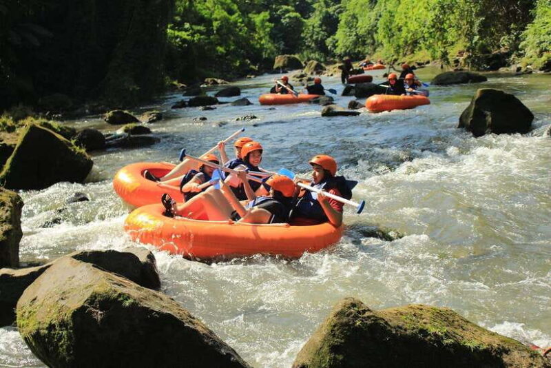 Bali: Ubud River Tubing Adventure with Lunch - Key Points
