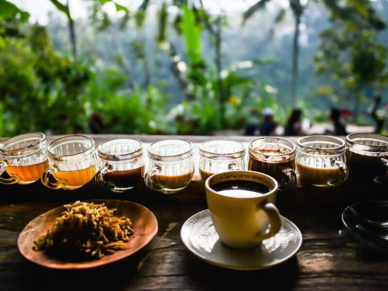 Bali: Ubud Sacred Spiritual and Historical Journey - FAQs