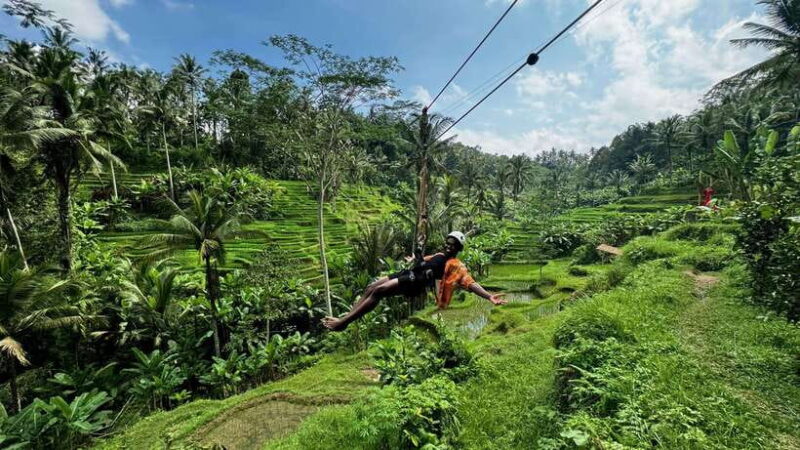 Bali: Ubud Swing, Zipline, SkyBike in a Private Rice Terrace - The Bottom Line