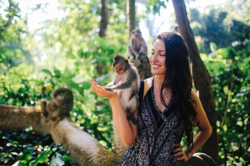 Bali: Ubud (Temple, Spring, Rice Terraces, & Waterfall) - Introduction: A Well-Rounded Day in Ubud