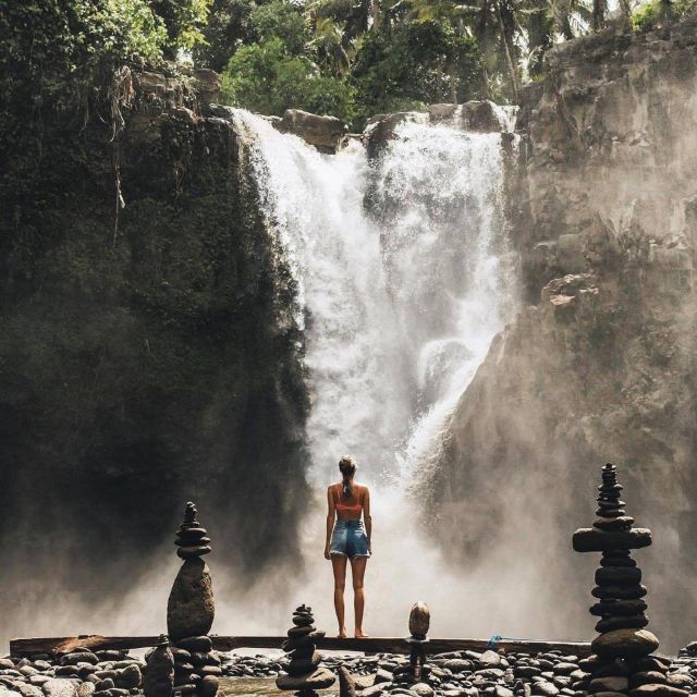 Bali Ubud Tour Best of Ubud Higlight with private Transfers - Key Points