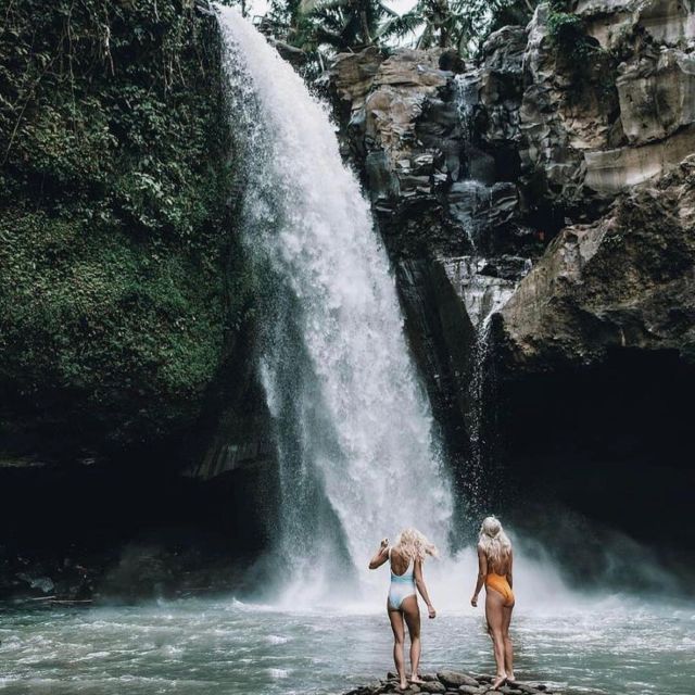 Bali Ubud Tour Best of Ubud Higlight with private Transfers - Final Words