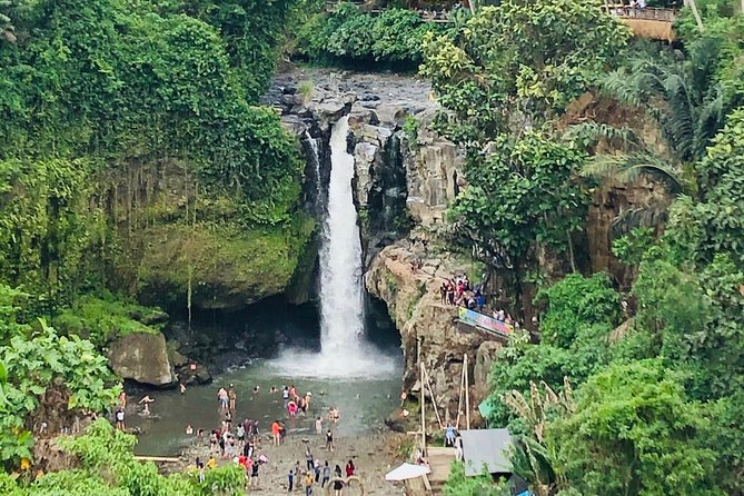 Bali Ubud Tour - Who Will Love This Tour?