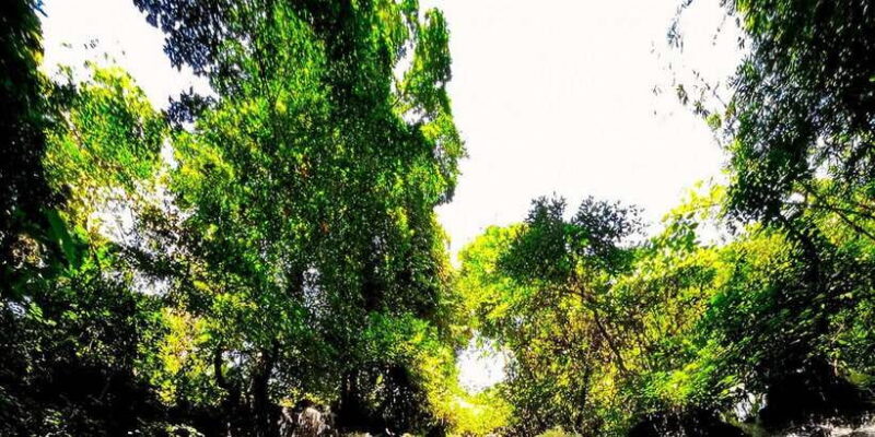 Bali Ubud Tour With Phone Photography Experiences - Key Points