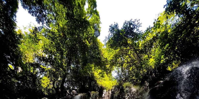 Bali Ubud Tour With Phone Photography Experiences - The Value of Guided Phone Photography