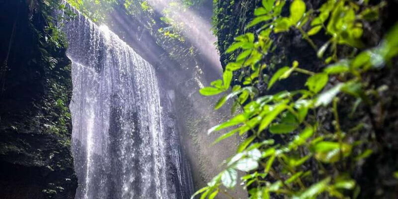 Bali Ubud Tour With Phone Photography Experiences - Who Will Love This Tour?