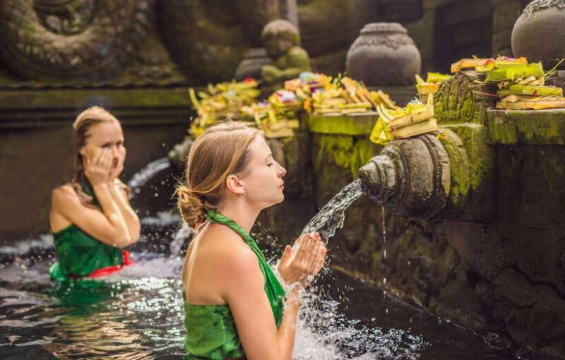 Bali: Ubud Tour with Tirta Empul Temple and Rice Terrace - The Sum Up