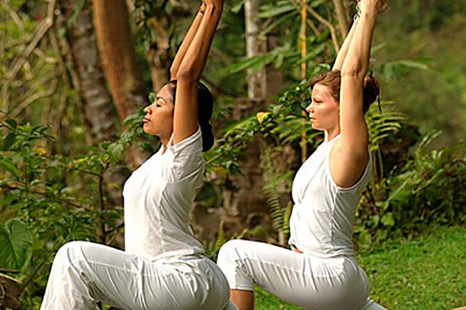 Bali Ubud Yoga Class - Who Should Consider This Tour?