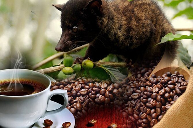 Bali: Ubud Zipline, Swing, Sky Bike in a Private Rice Terrace - Final Recommendation