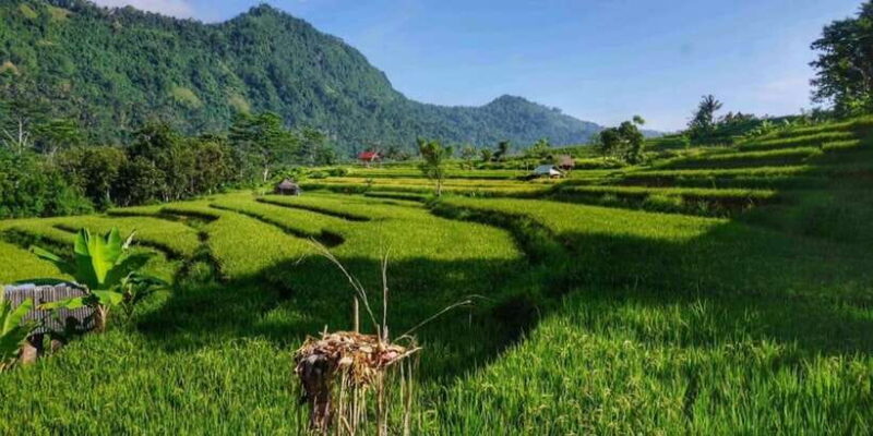 Bali: Ujung Water Palace, Candidasa and Sidemen Village Tour - Frequently Asked Questions