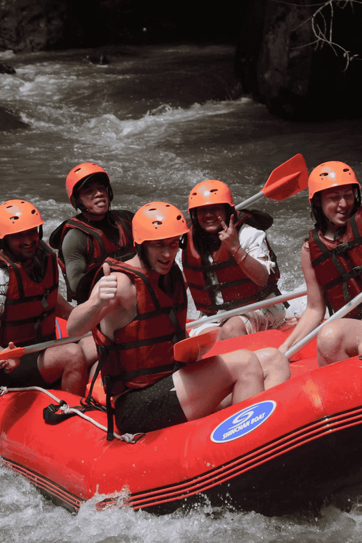 Bali: Ultimate Ayung River Rafting Experience & Buffet Lunch - Who Should Consider This Tour?