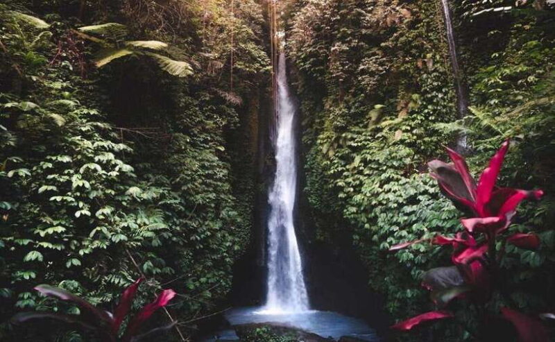 Bali : Ulun Danu Beratan Temple and UNESCO Rice Terrace Tour - Practical Details and Experience