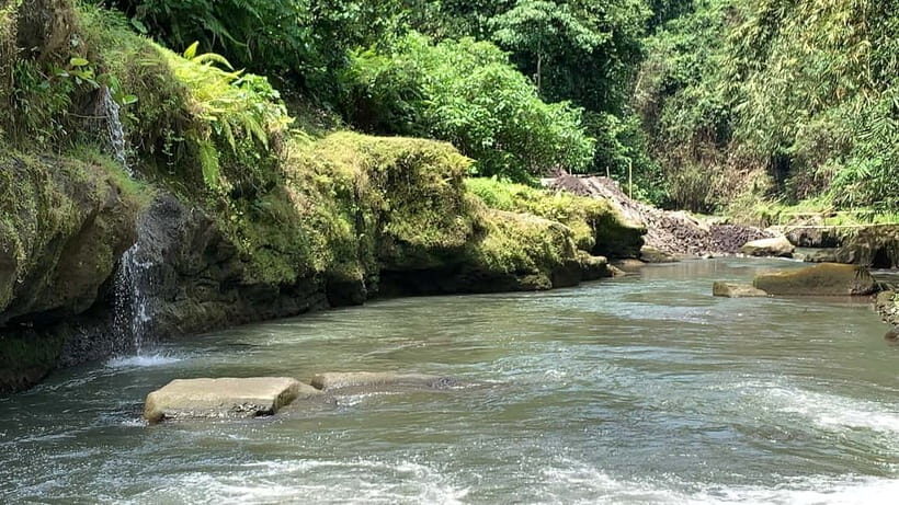 Bali: Uma Anyar Waterfall, Goa Gajah Temple & Rice Terrace - Key Points