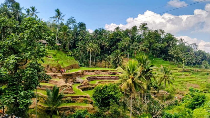 Bali: Uma Anyar Waterfall, Goa Gajah Temple & Rice Terrace - FAQ