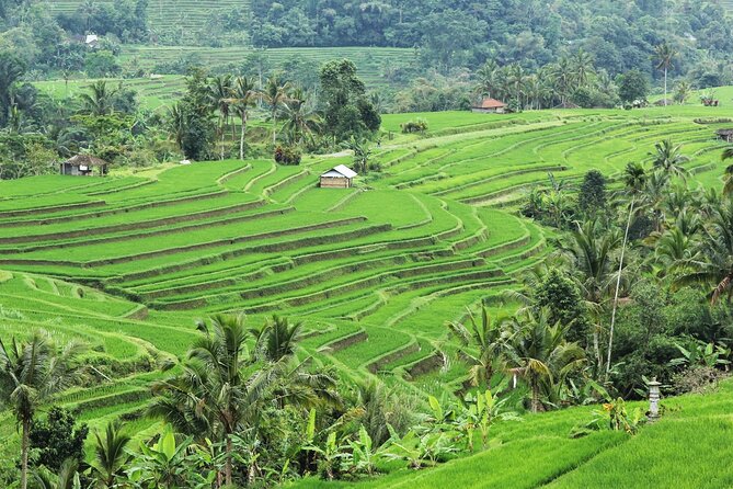 Bali UNESCO Sites: Water Temples and Jatiluwih Rice Terrace Tour - FAQ
