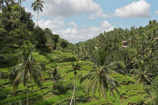 Bali Unique 2 Days Tour Packages - An In-Depth Look at Bali Unique 2 Days Tour Packages