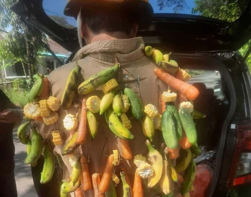 Bali: UNIQUE ACTIVITY OF FEEDING MONKEYS - Why This Tour Offers Great Value