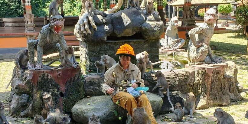 Bali: UNIQUE ACTIVITY OF FEEDING MONKEYS - Who Will Enjoy This?