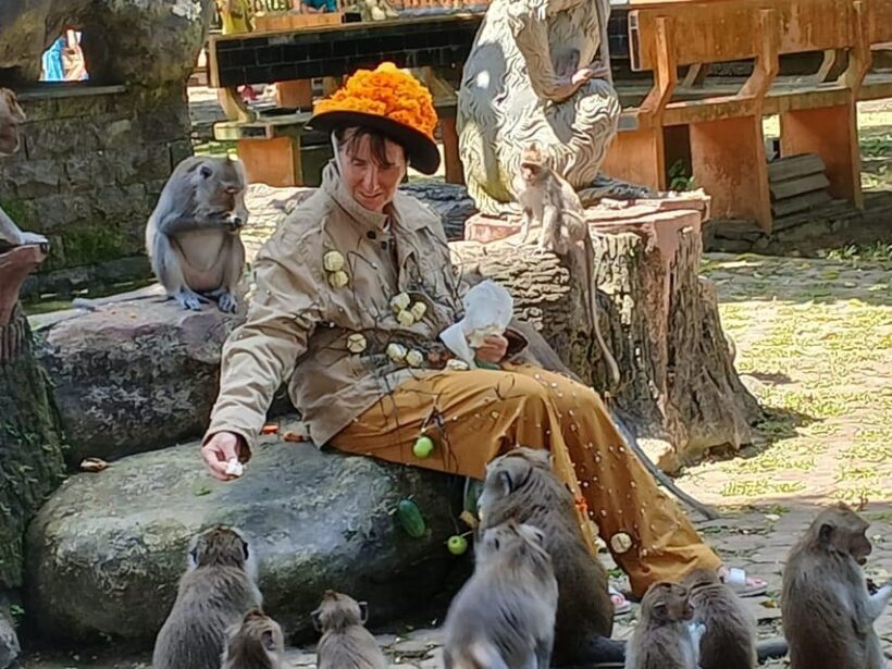 Bali: UNIQUE ACTIVITY OF FEEDING MONKEYS - The Sum Up