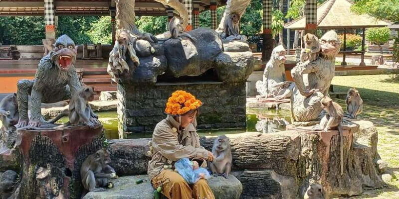 Bali: UNIQUE ACTIVITY OF FEEDING MONKEYS - Summary: Is It Worth It?
