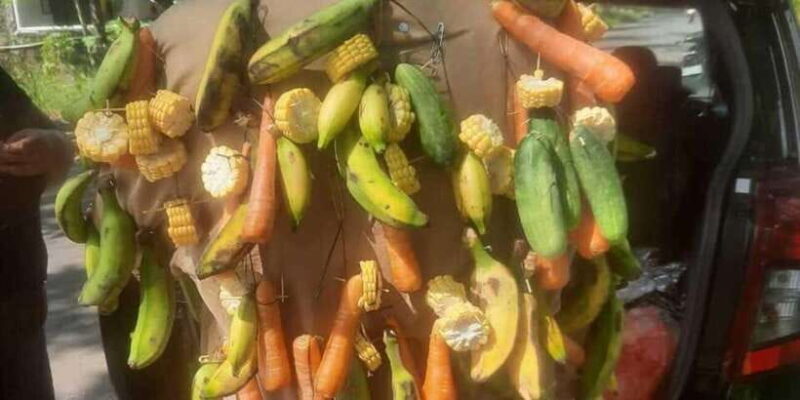 Bali: UNIQUE ACTIVITY OF FEEDING MONKEYS - Final Thoughts